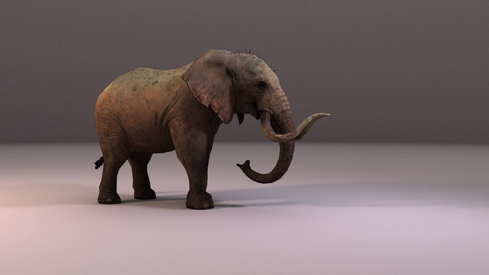 ArtStation - Human, animal, and facial 3D animations