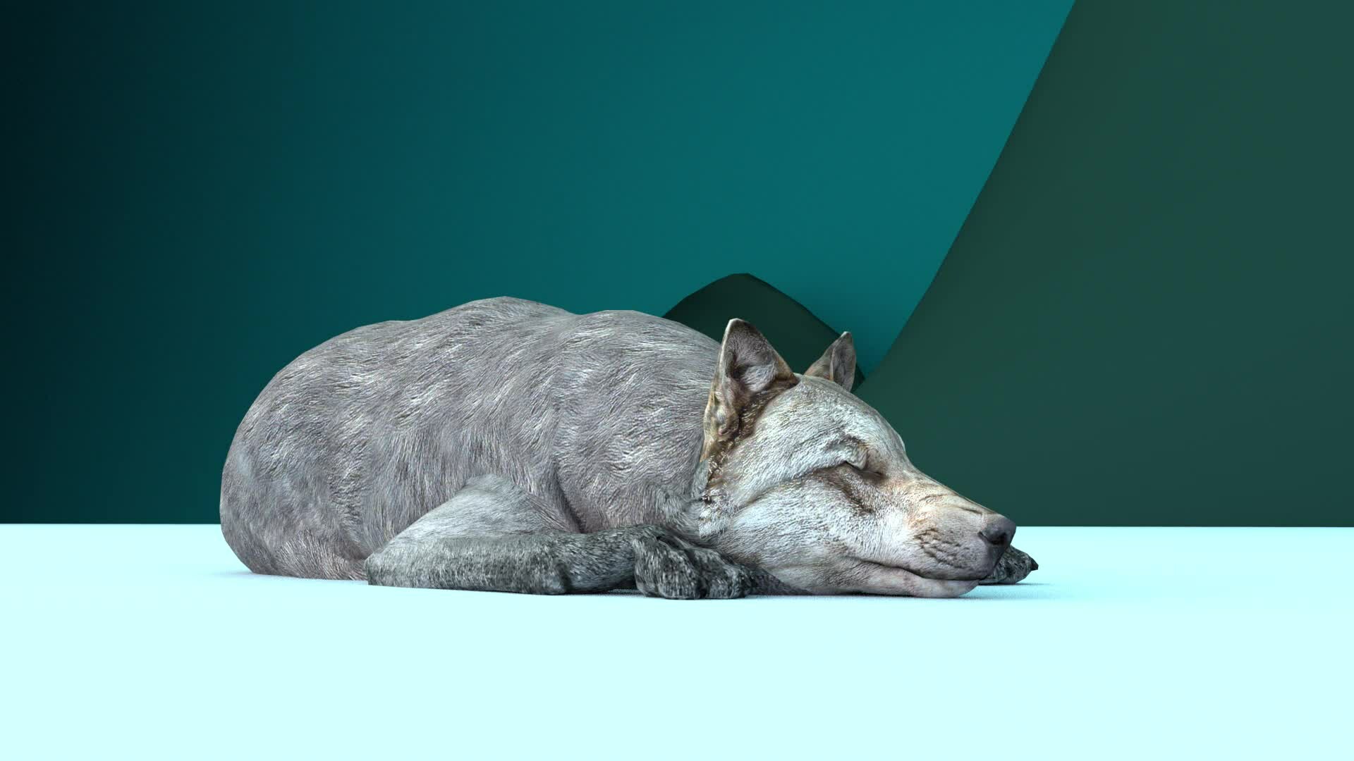 ArtStation - Wolf Wake Up