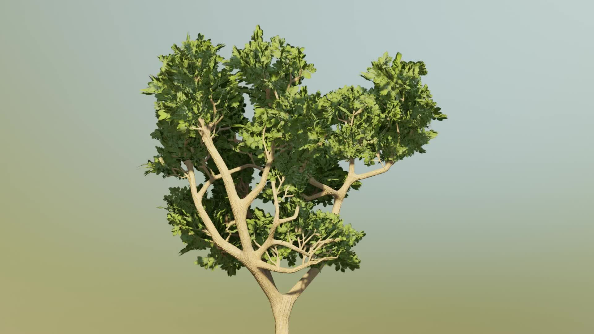 ArtStation - Pareidolia experiment with tree