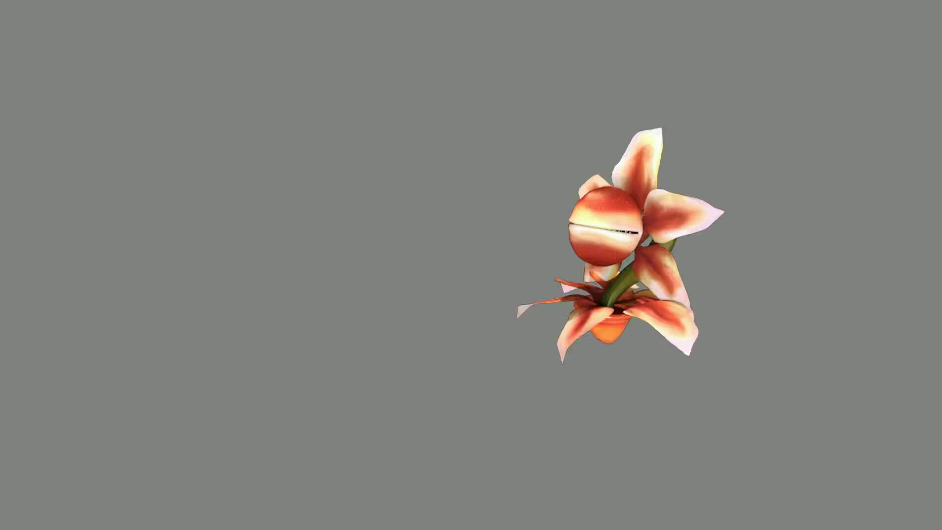 ArtStation - Plant Monster Character Animation