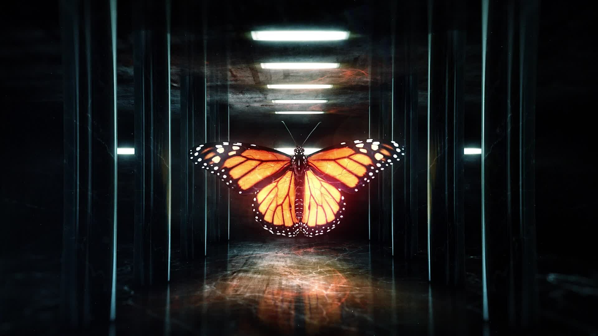 ArtStation - Monarch