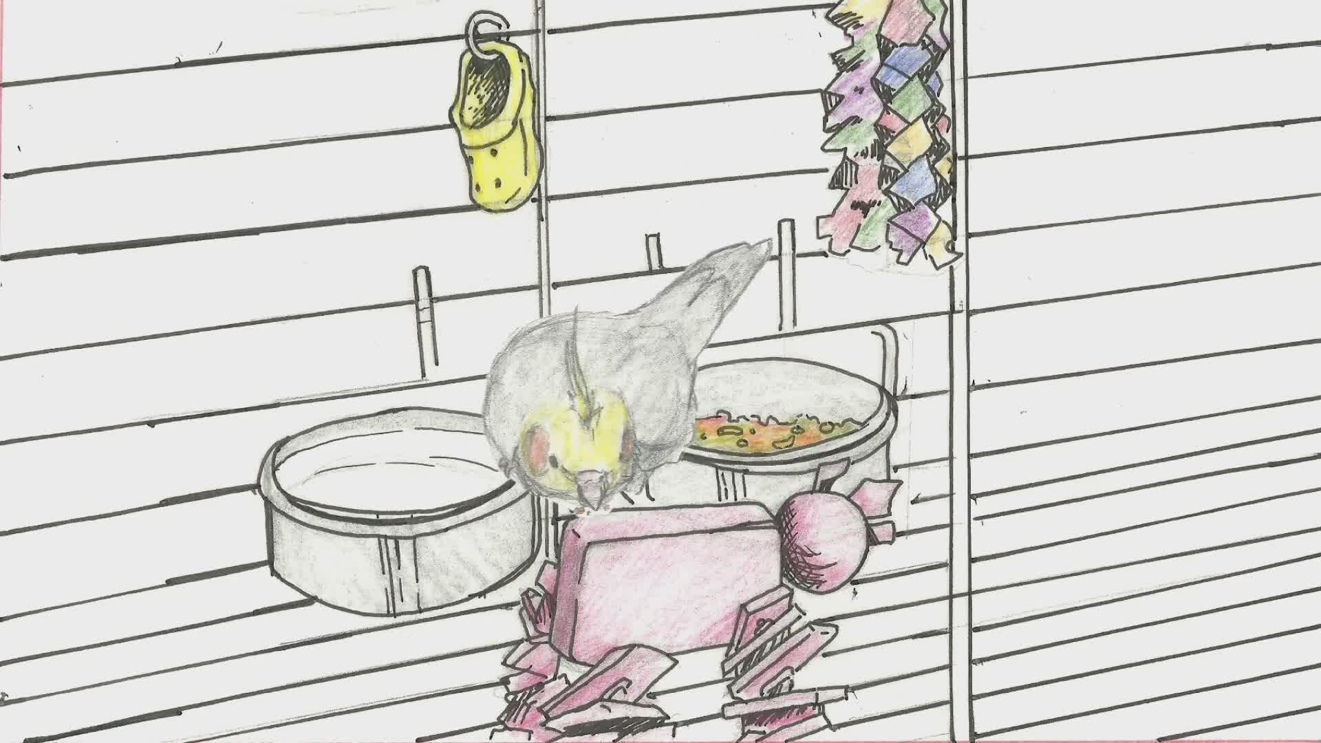 ArtStation - Loop Animation