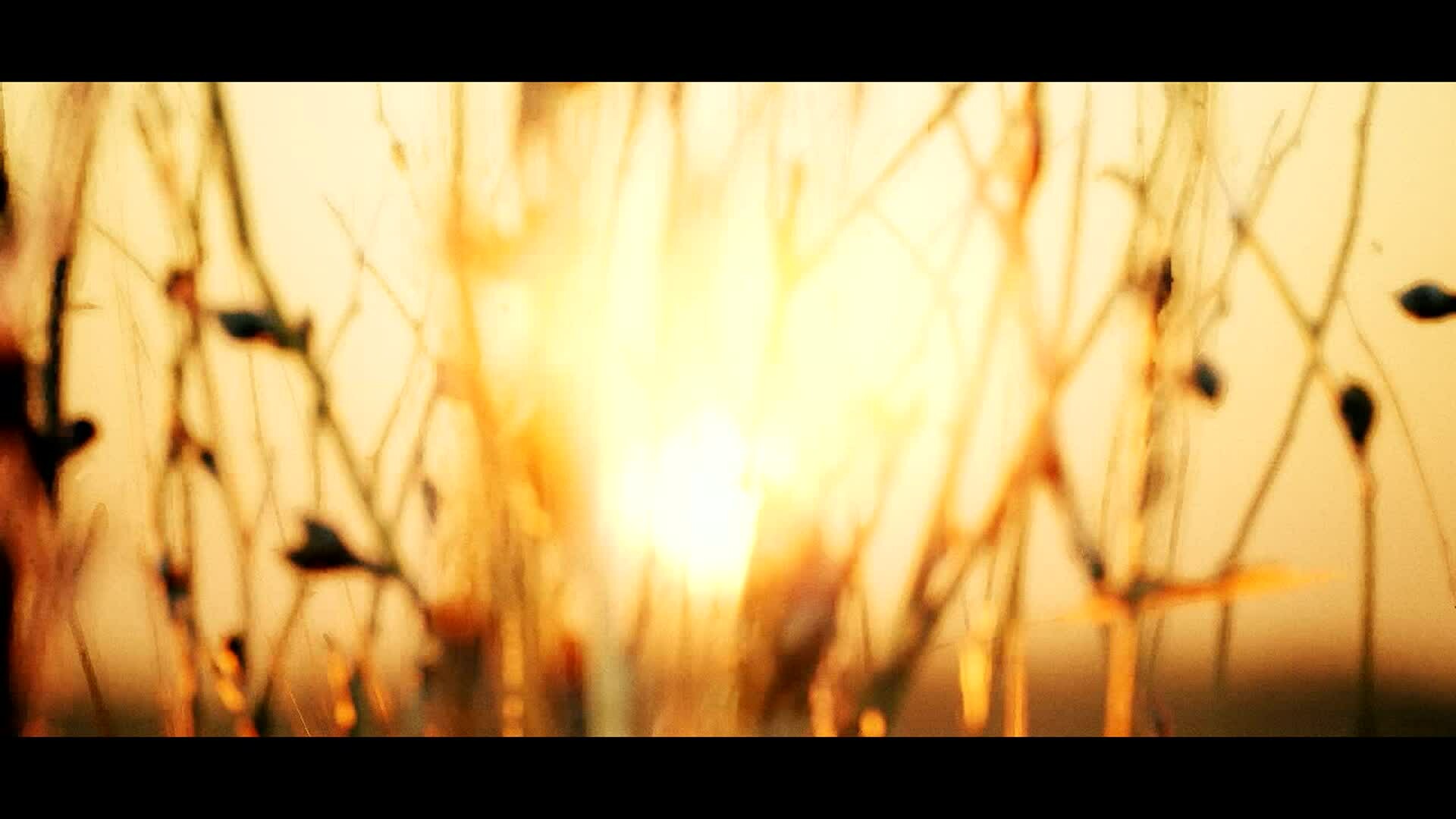 ArtStation - Evening Sun Light