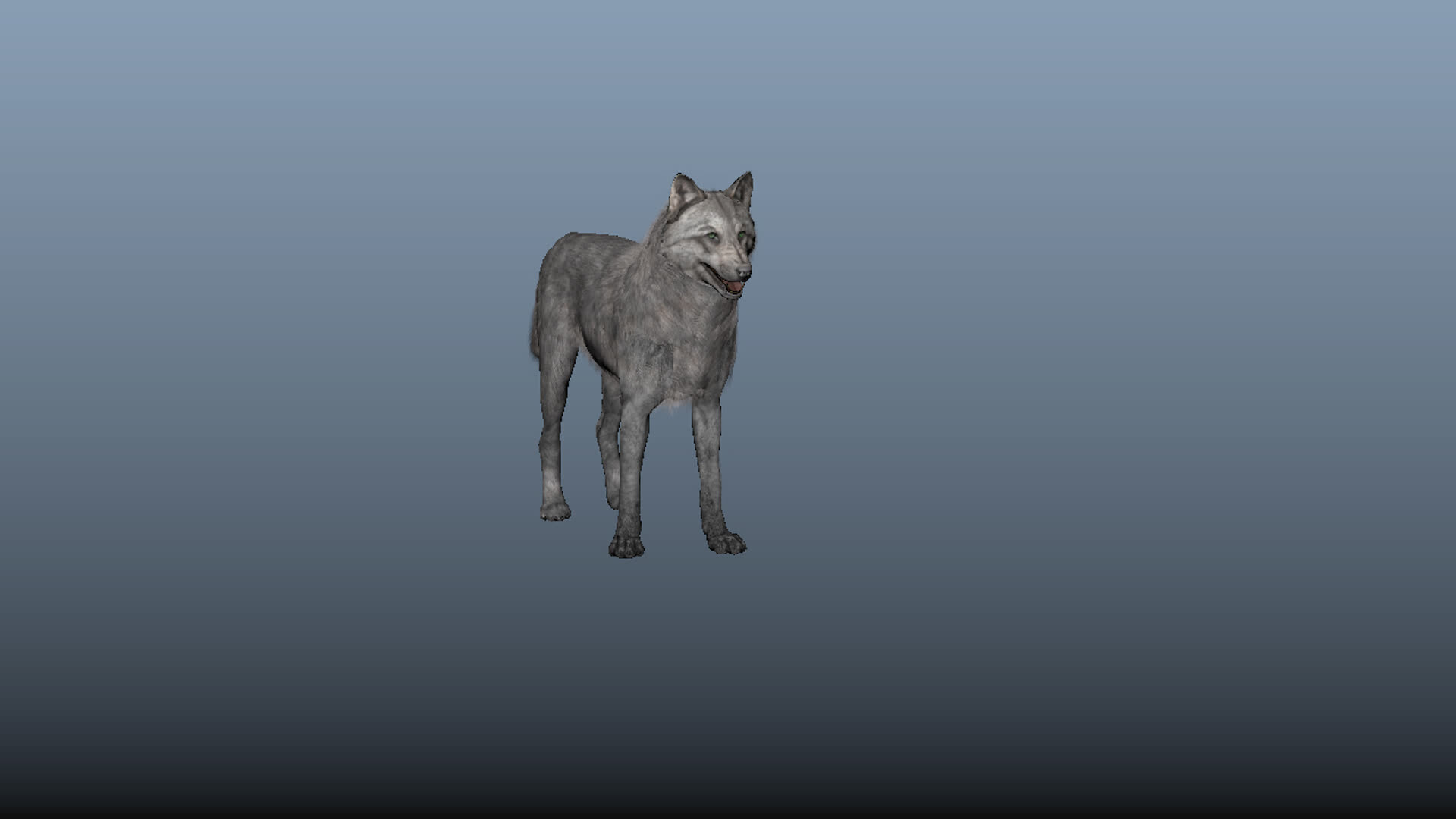 ArtStation - Wolf Animation Reel