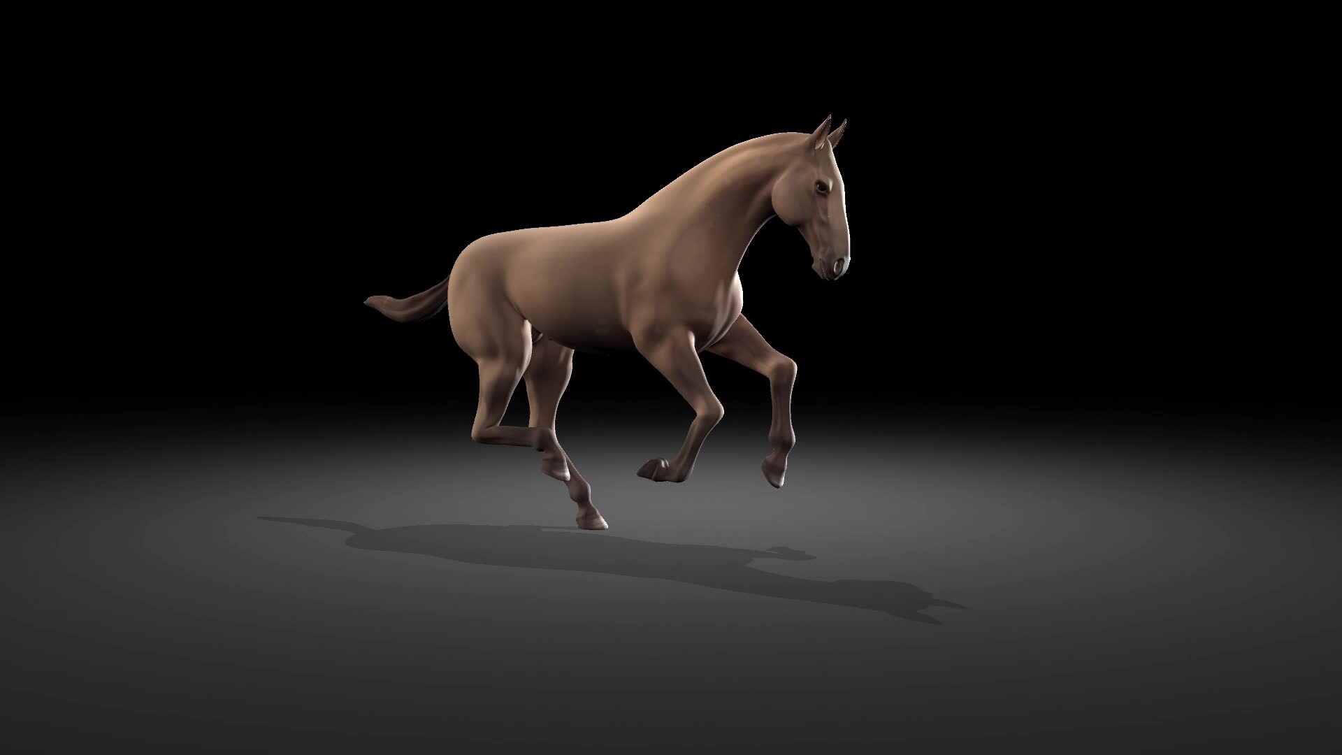 ArtStation - Animation du galop d'un cheval