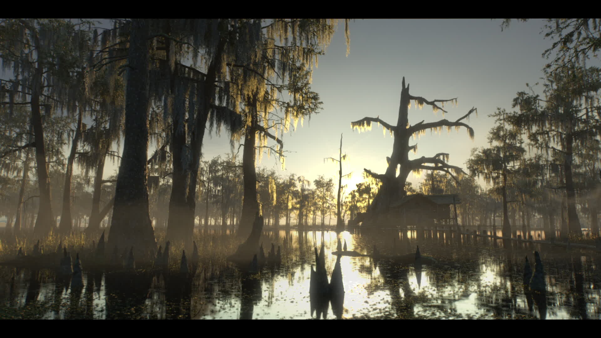 ArtStation - swamp serenity