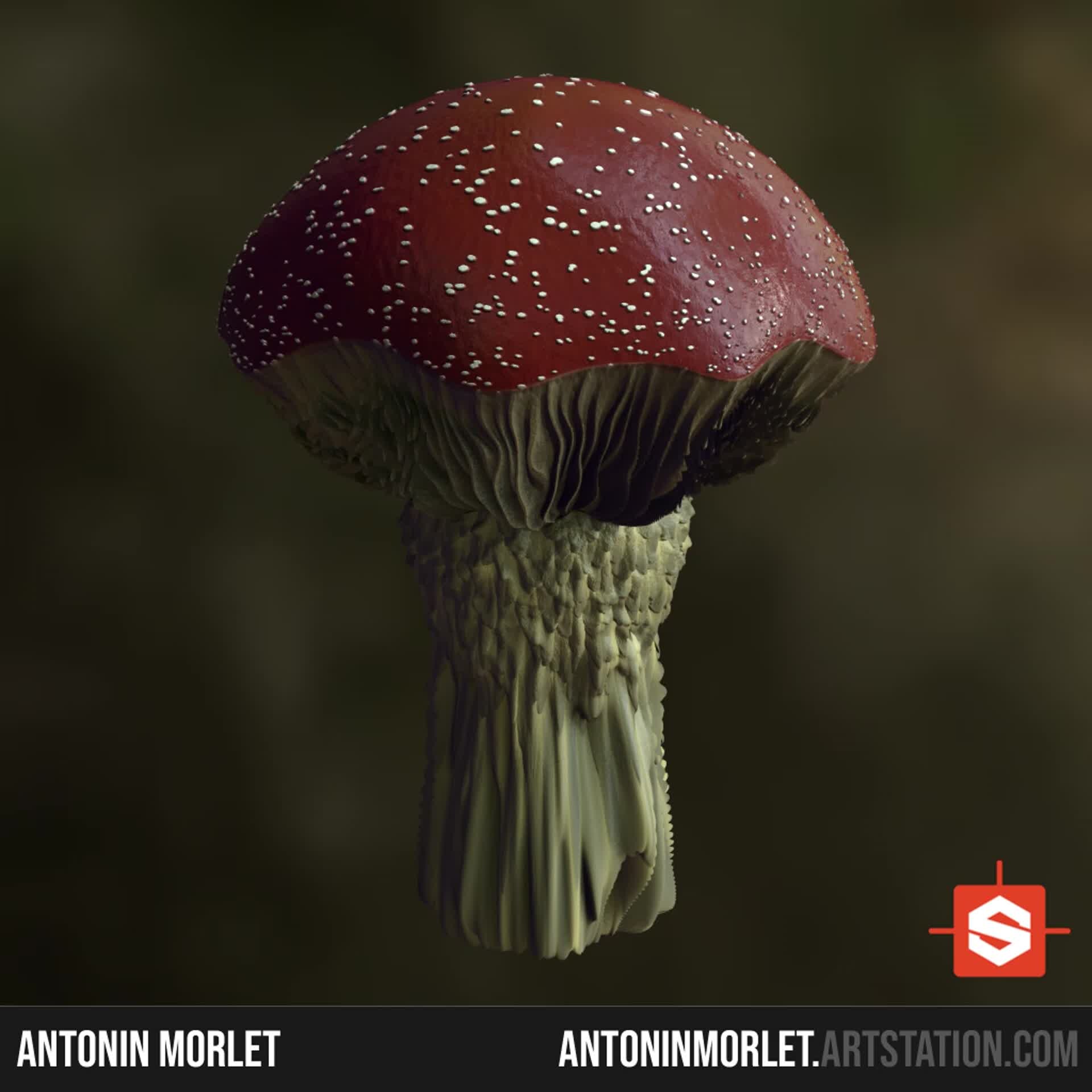 ArtStation - Nodevember 2020 - Day 17 Fungus