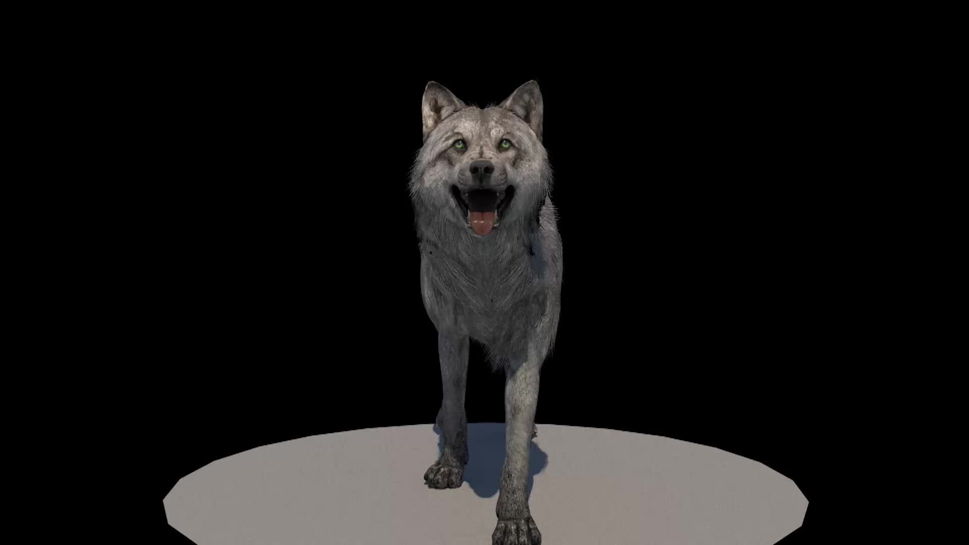 ArtStation - Wolf Walk Cycle