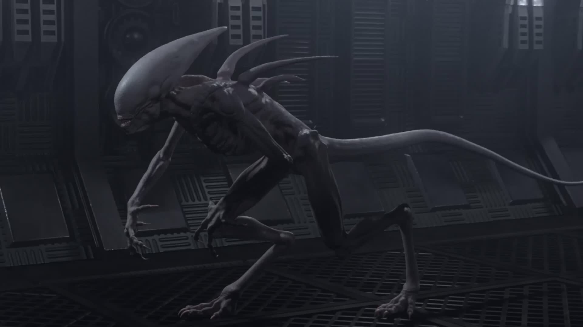 Corey Bastiaans - alien Neomorph animated scene