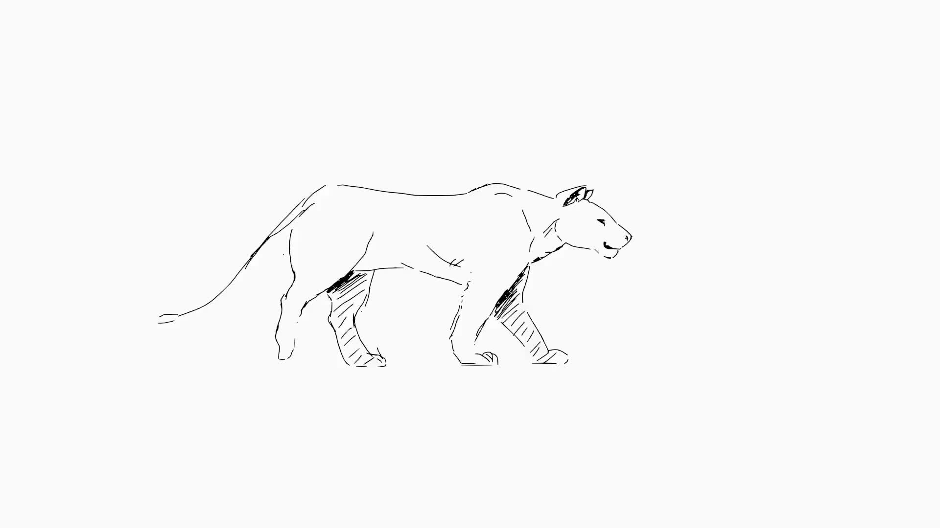 ArtStation - Big cat gait