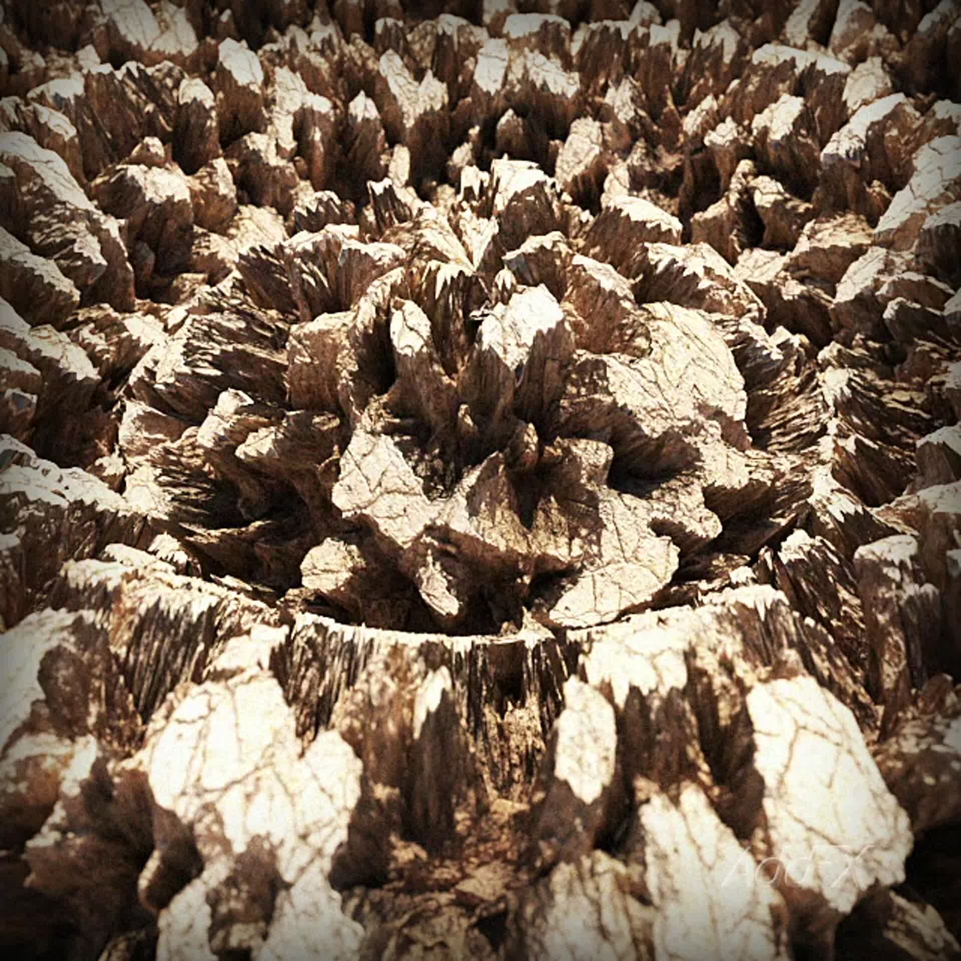 ArtStation - Experimental Loops - Part 2