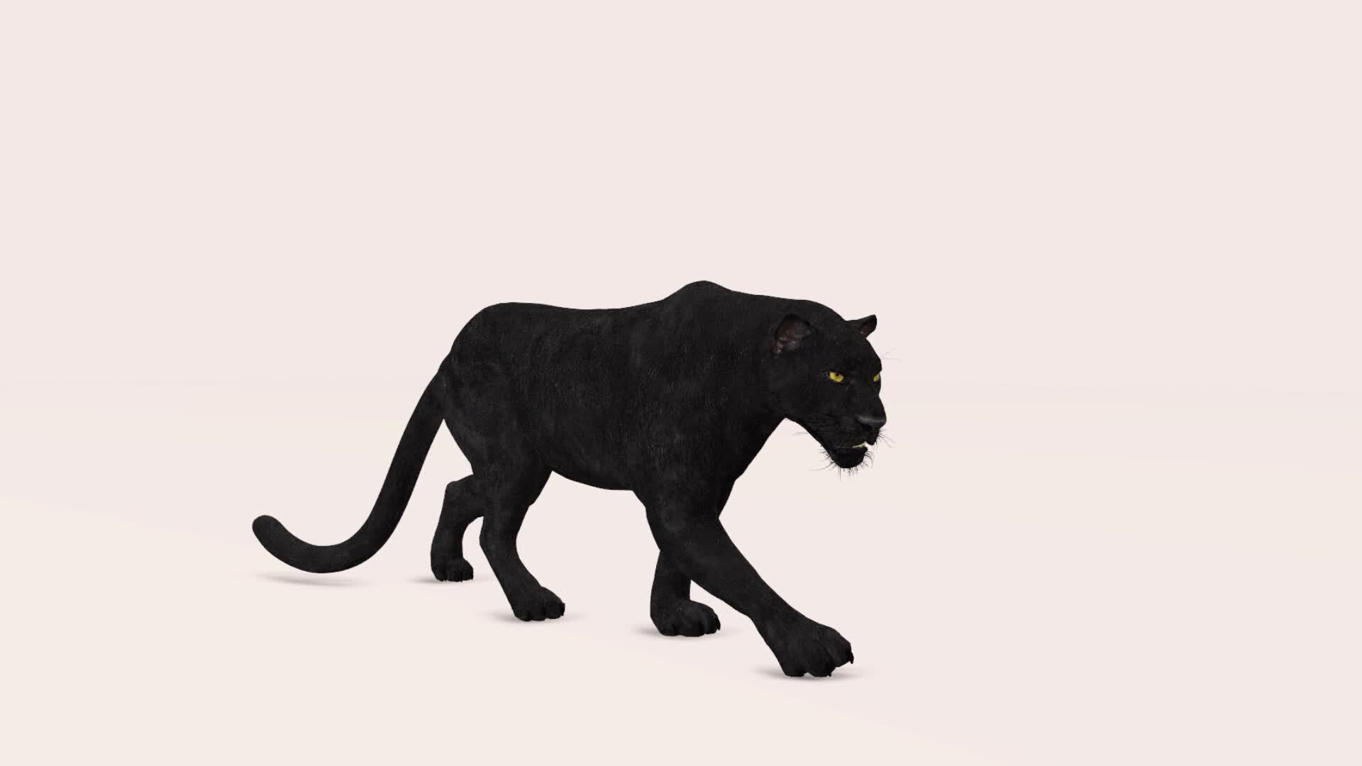 ArtStation - Panther Animation