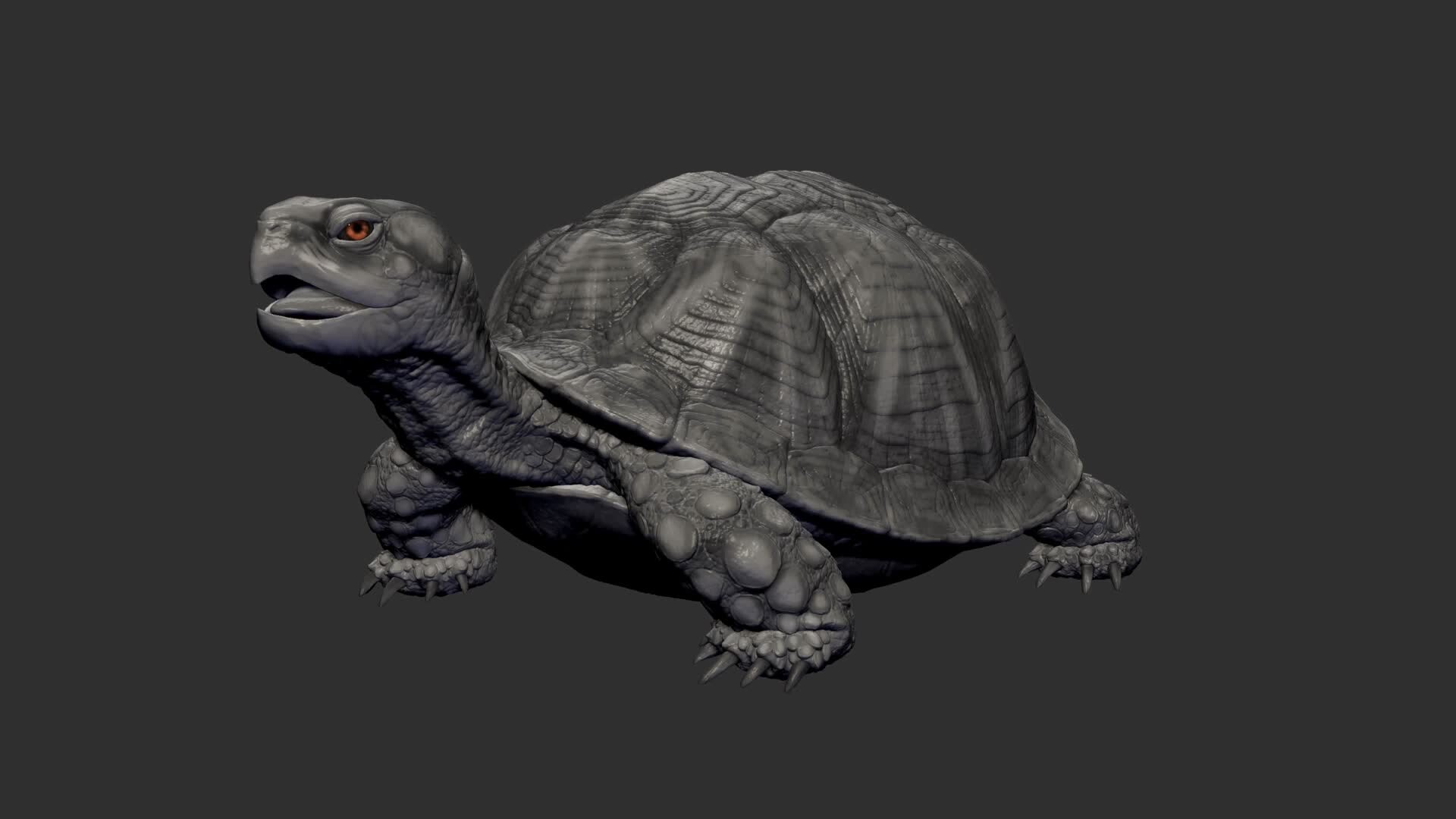 ArtStation - Turtle and Snail Sculpts - JangaFX