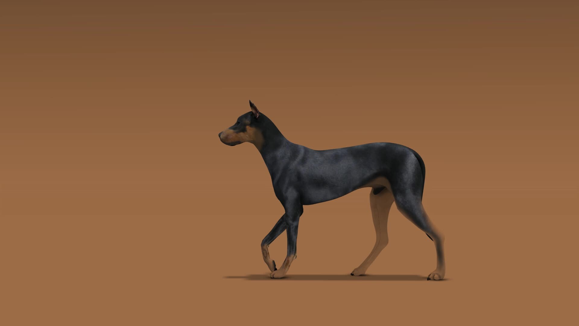 ArtStation - Quadruped Walk