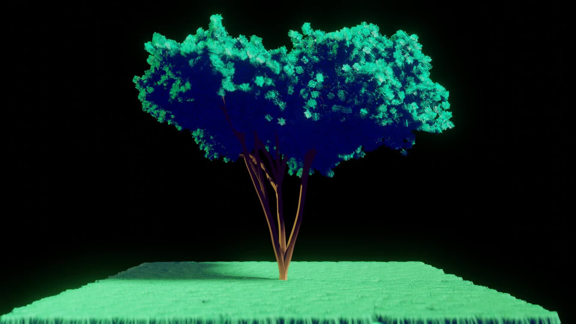 ArtStation - [Personal Project] Tree animation Stylized Test