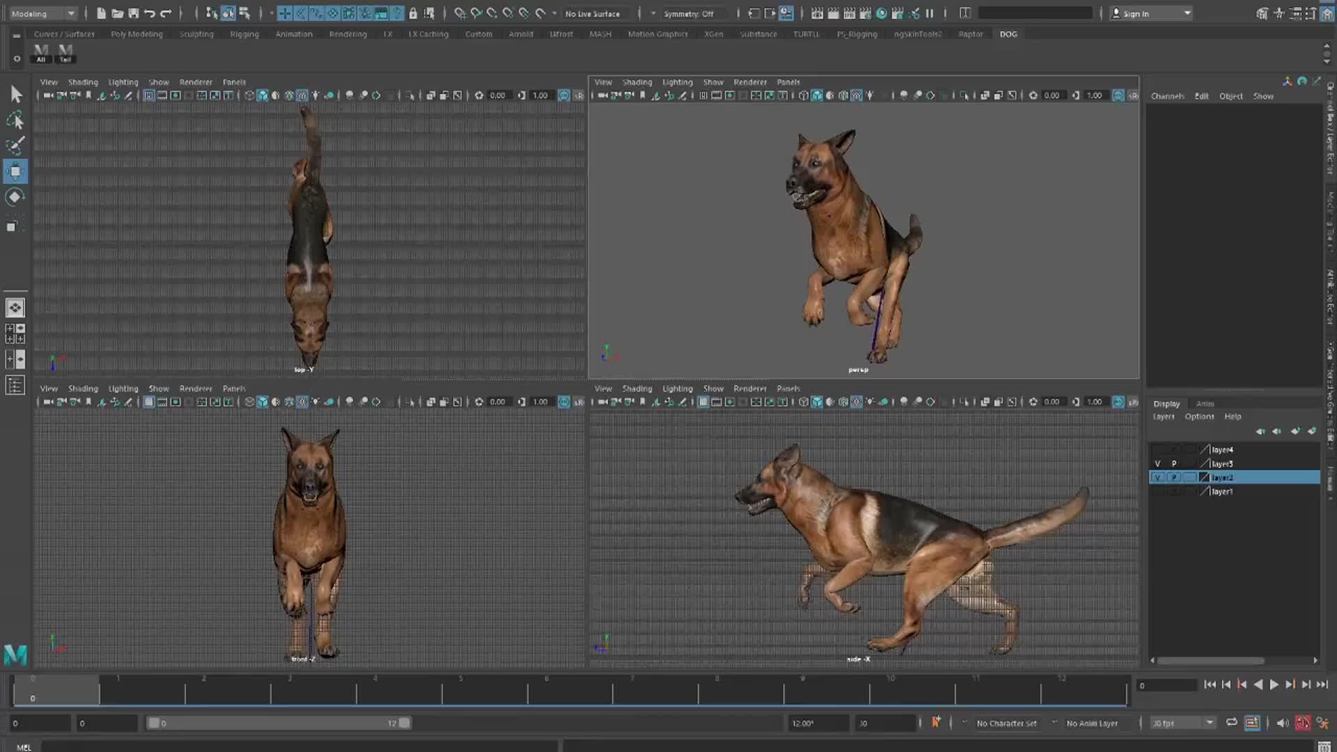 ArtStation - Generic Dog Animations