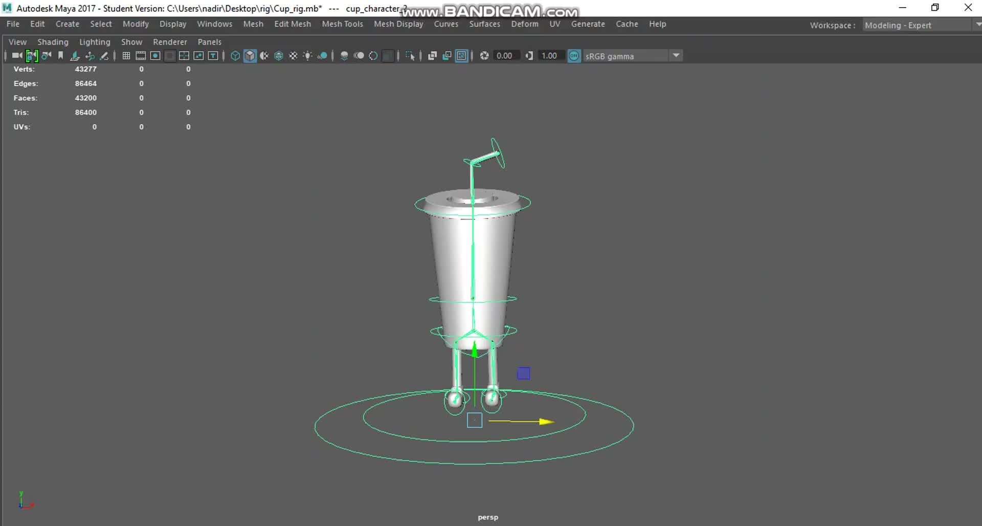 ArtStation - 3d cup rig