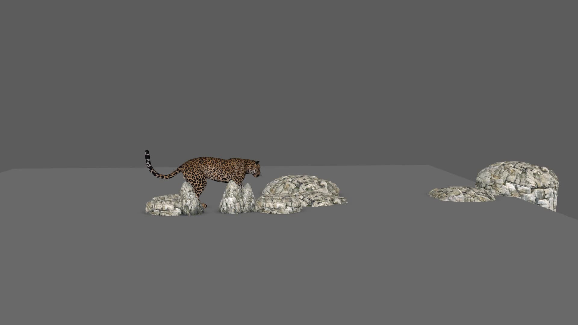 ArtStation - Leopard jump Animation