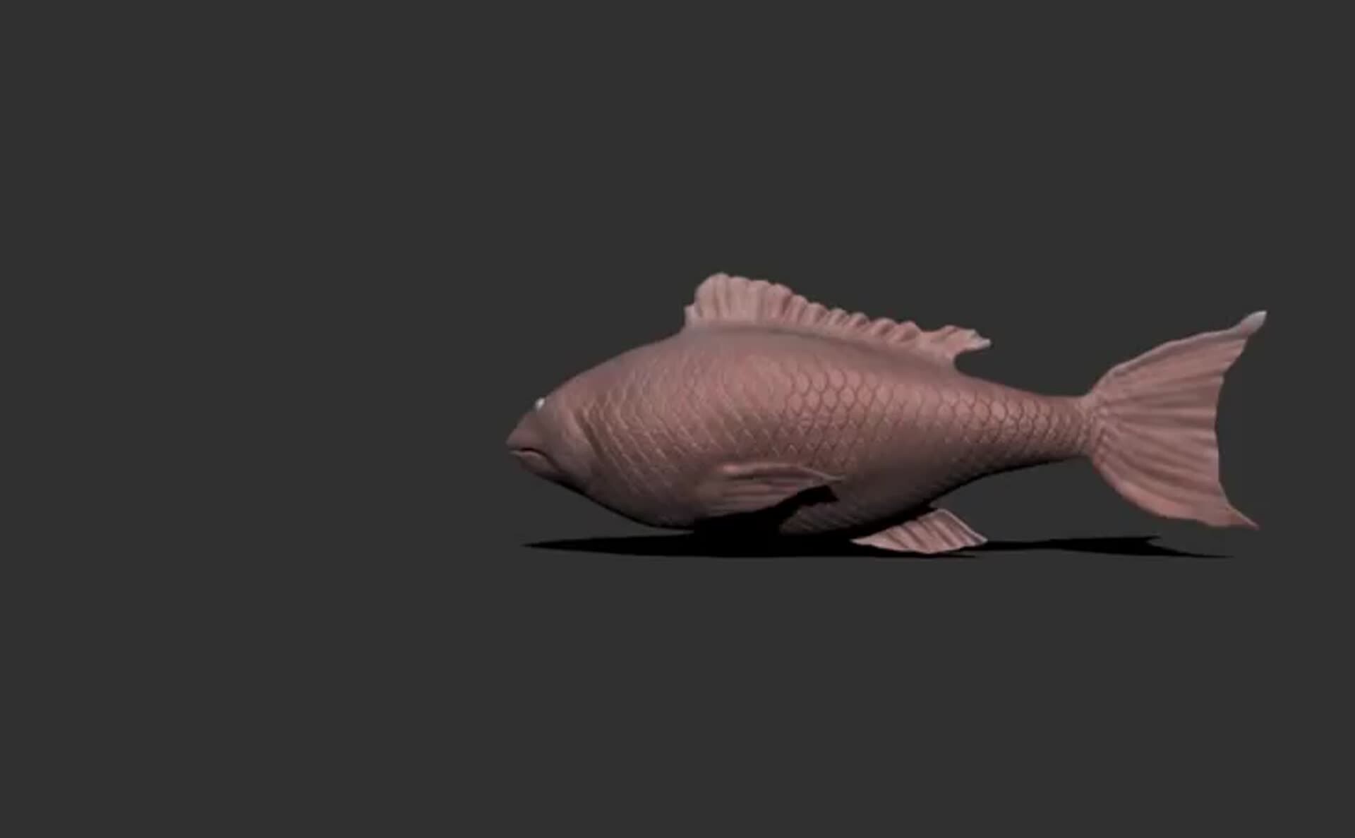 ArtStation - FISH SCULPTING IN ZBRUSH