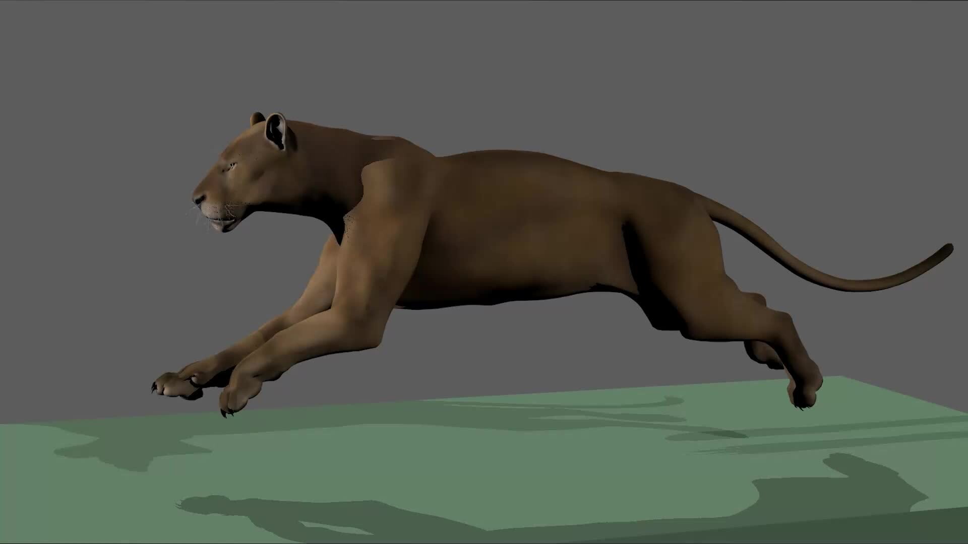 ArtStation - Quadruped run cycle