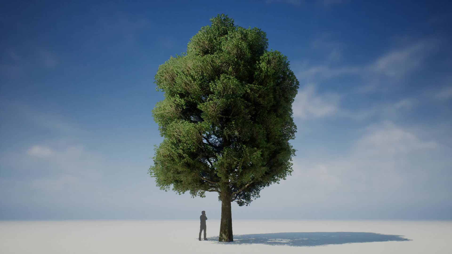 ArtStation - UE5 Beech Tree