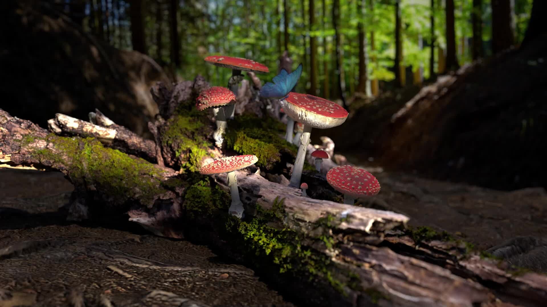 ArtStation - 3D Environment Lighting Modeling and Compositing