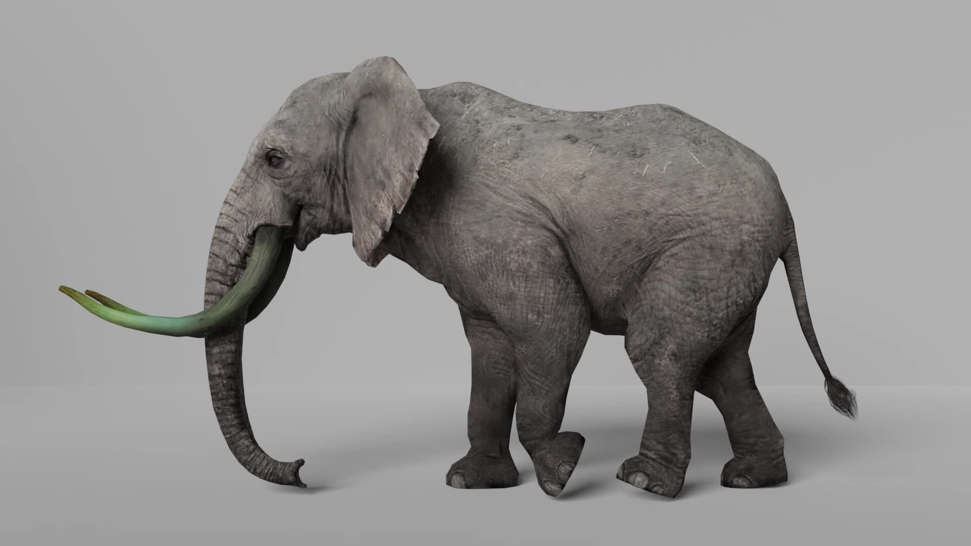 ArtStation - Animation: Elephant Walking (September 2021)