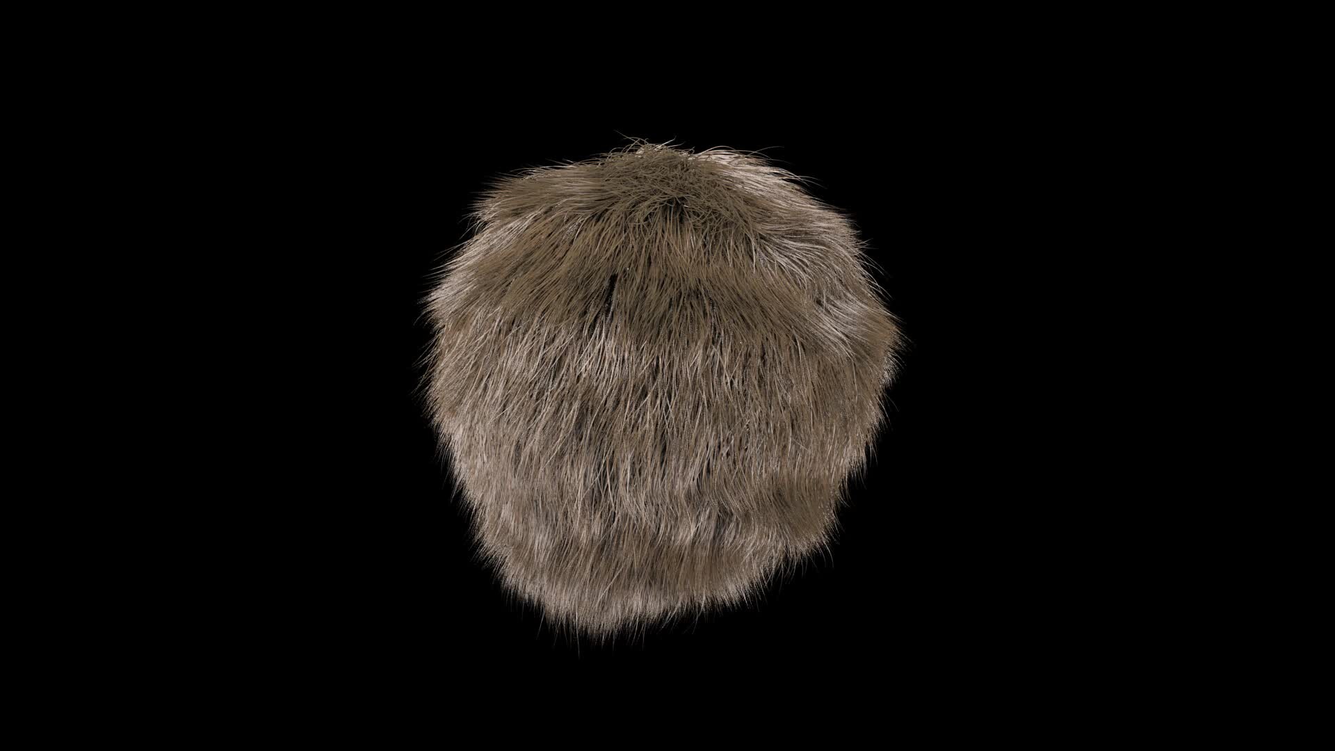 ArtStation - FUR STUDY