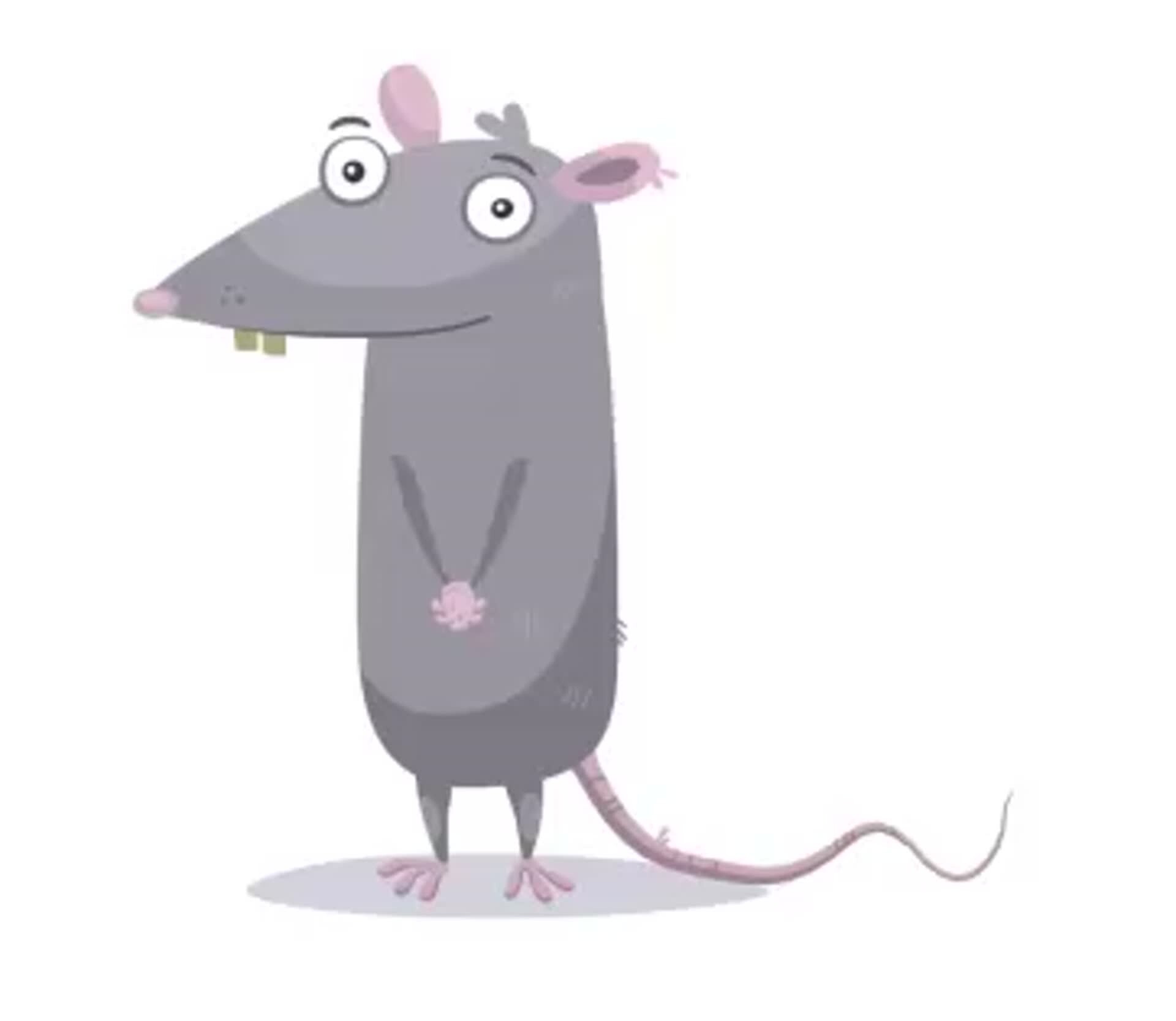 ArtStation - Dancing Rat