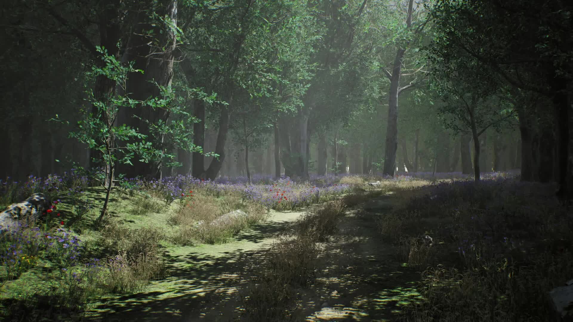 ArtStation - An Ordinary Forest Path