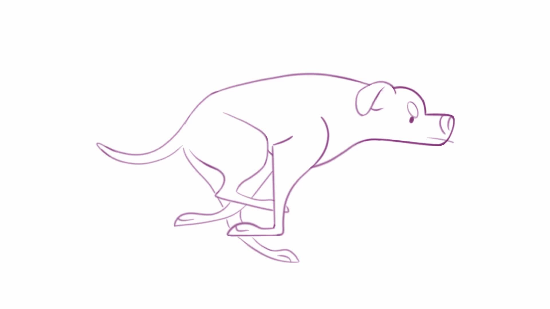 ArtStation - DOG ANIMATION