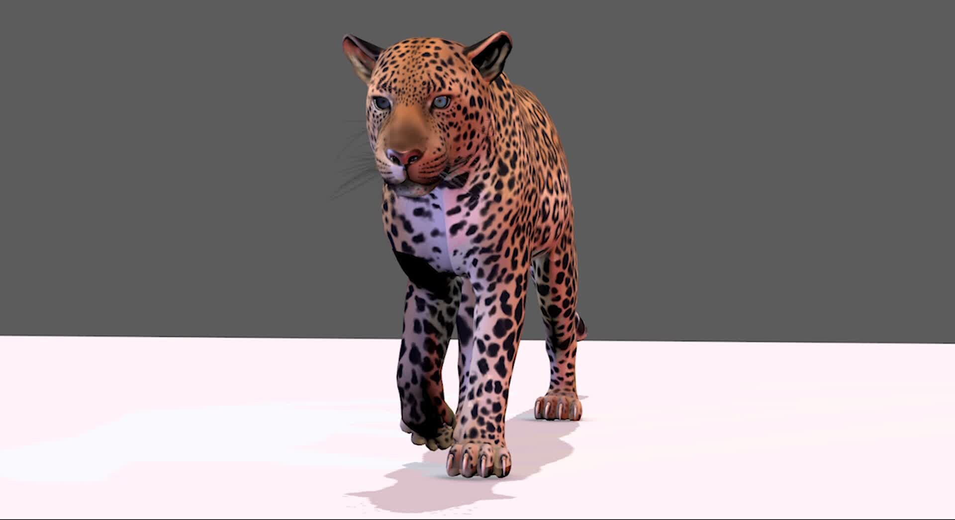 ArtStation - Leopard Animation
