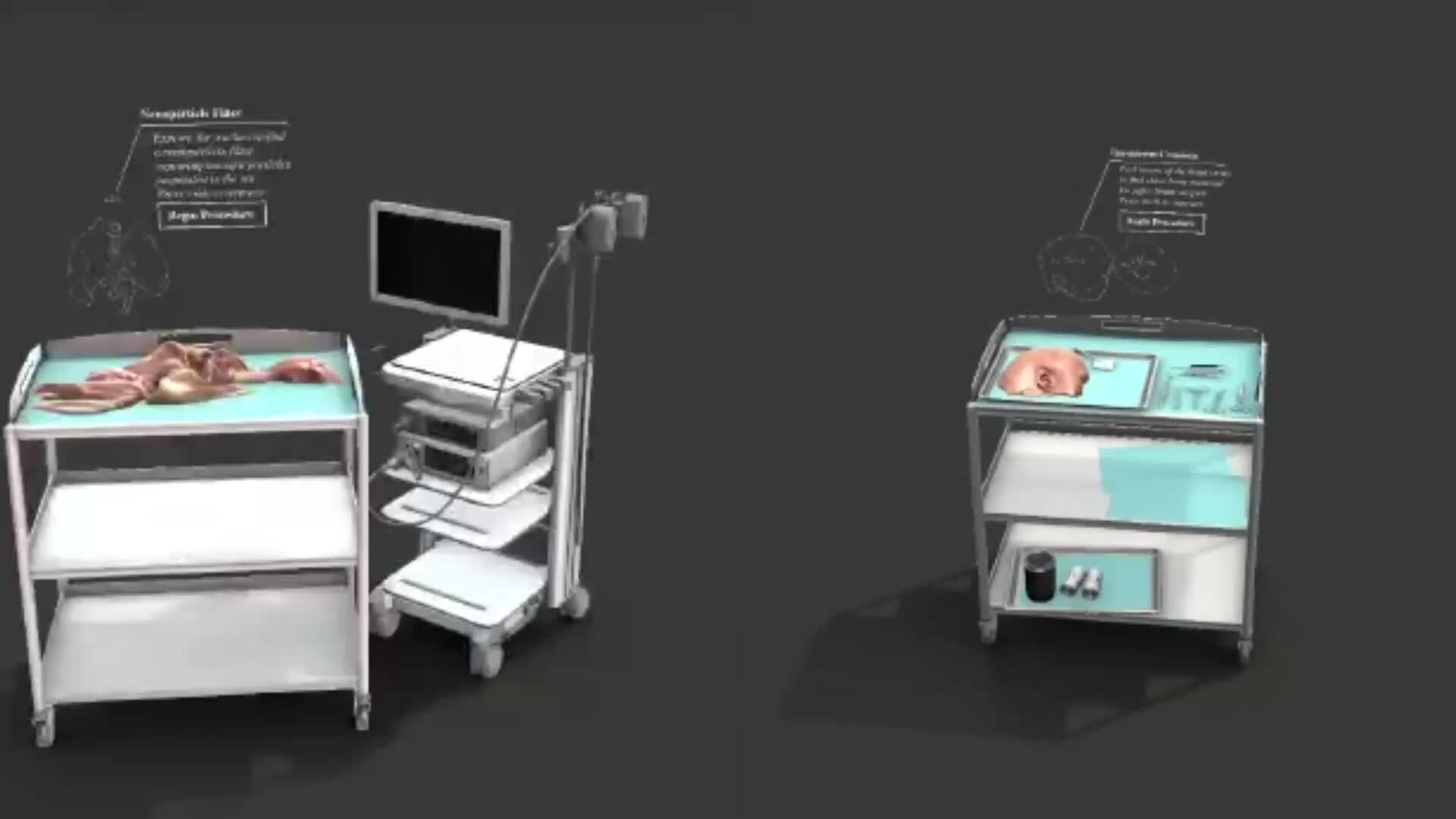 ArtStation - Impossible Bodies - Agi Haines' Anatomy Lessons