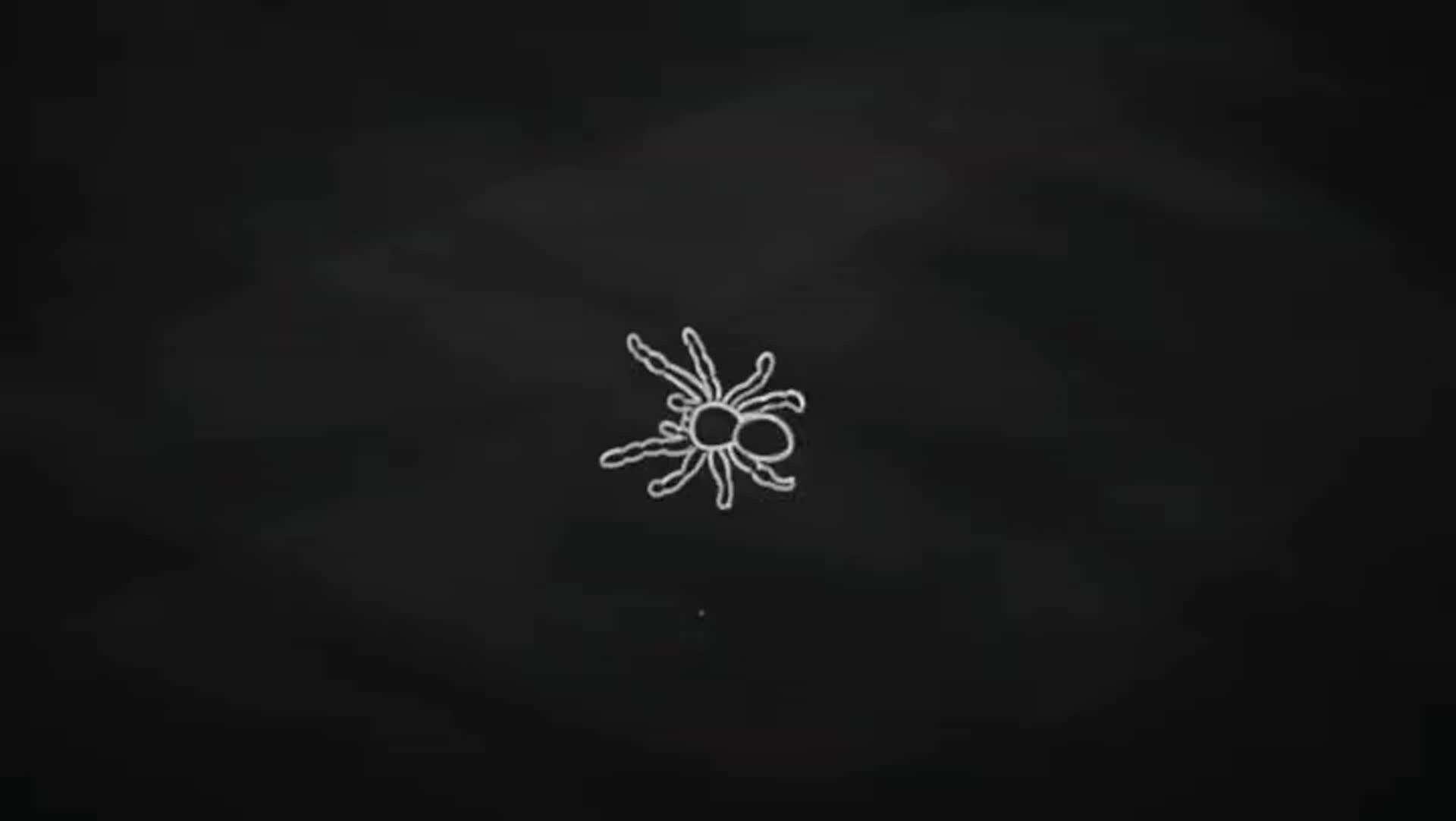 ArtStation - Spider animation