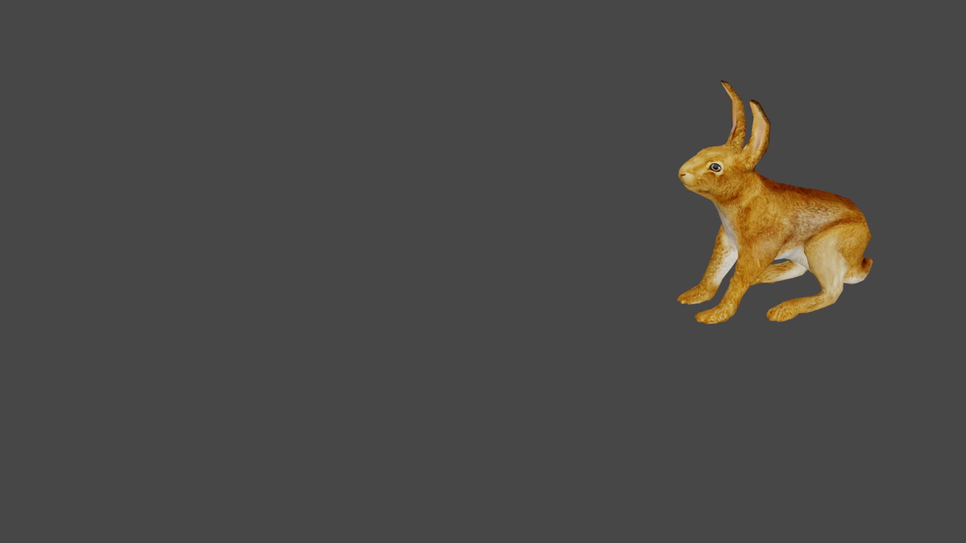 ArtStation - Hare Animated