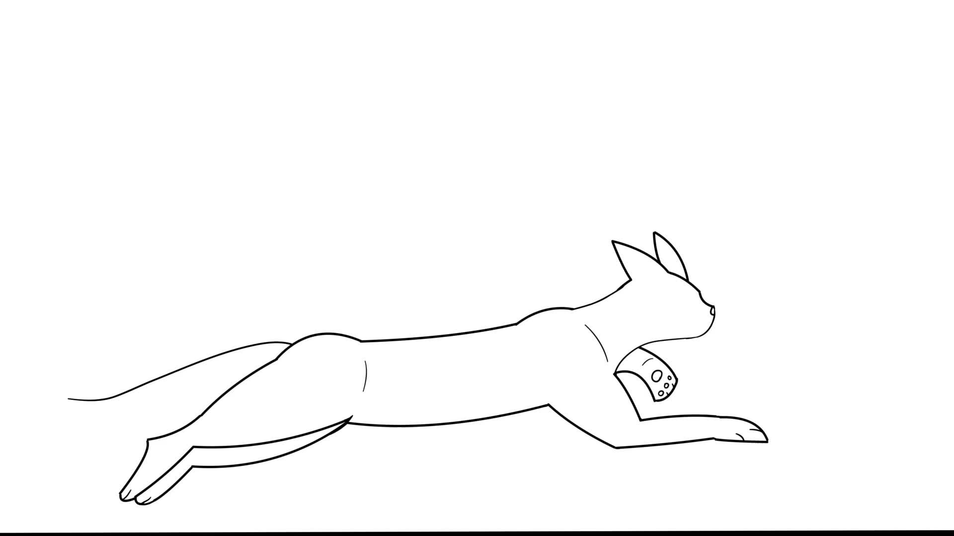 ArtStation - 2D animation Cat transformation