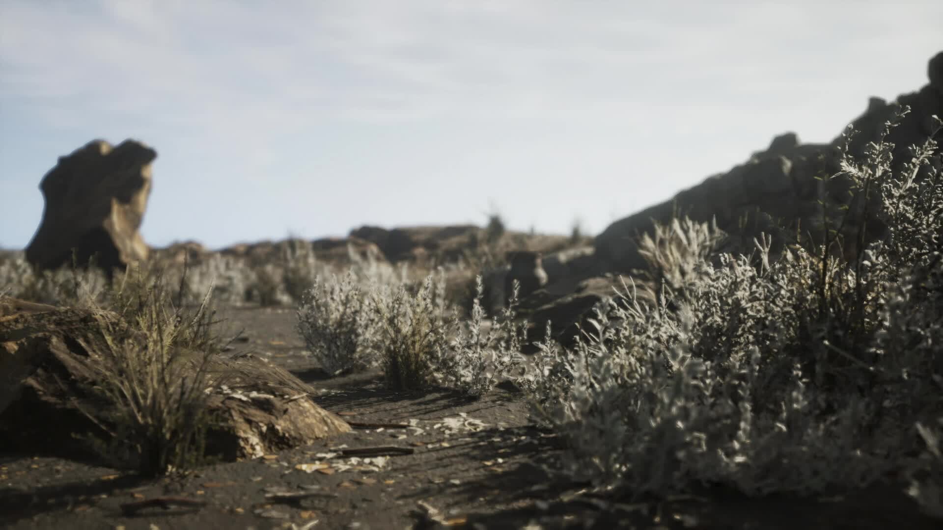 ArtStation - Unreal engine - desert land