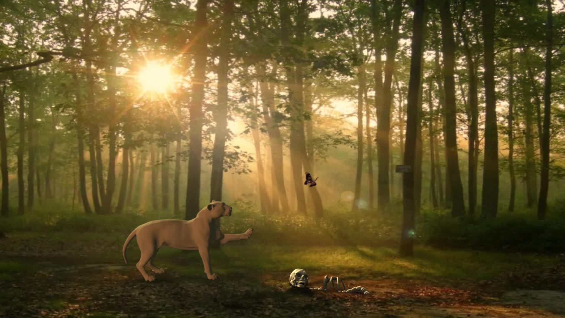 ArtStation - jungle cub animation and scene comp