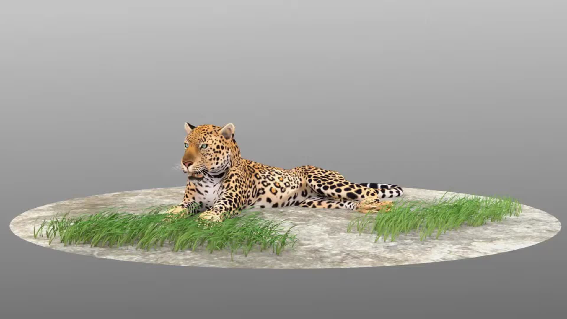 ArtStation - Realistic Animation