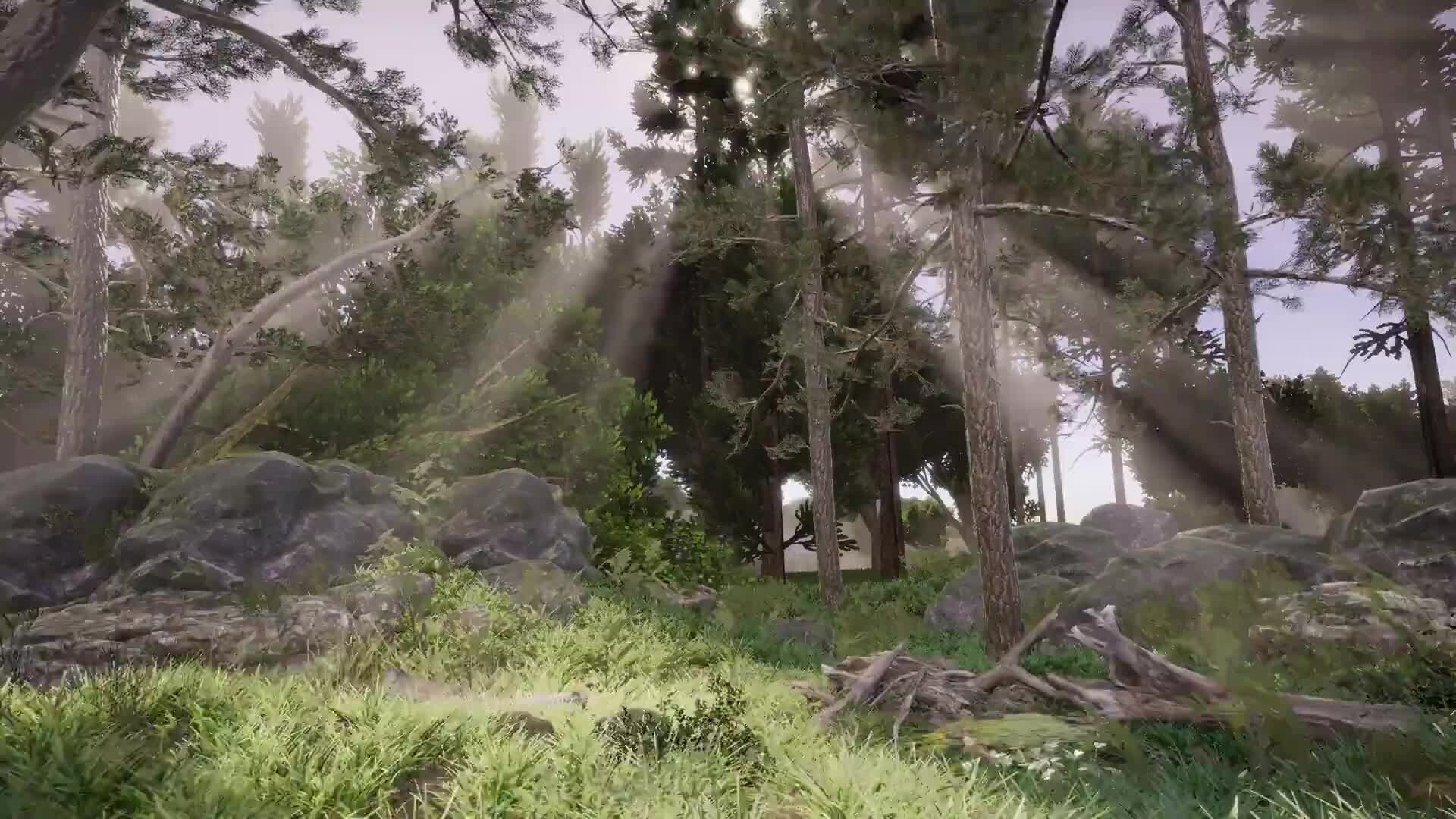 ArtStation - Game forest environment (unity3D)