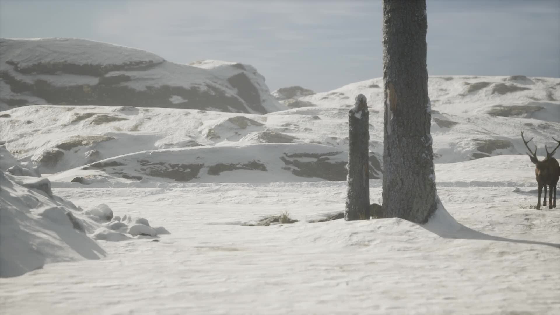 ArtStation - Ue5 Snow_Scene