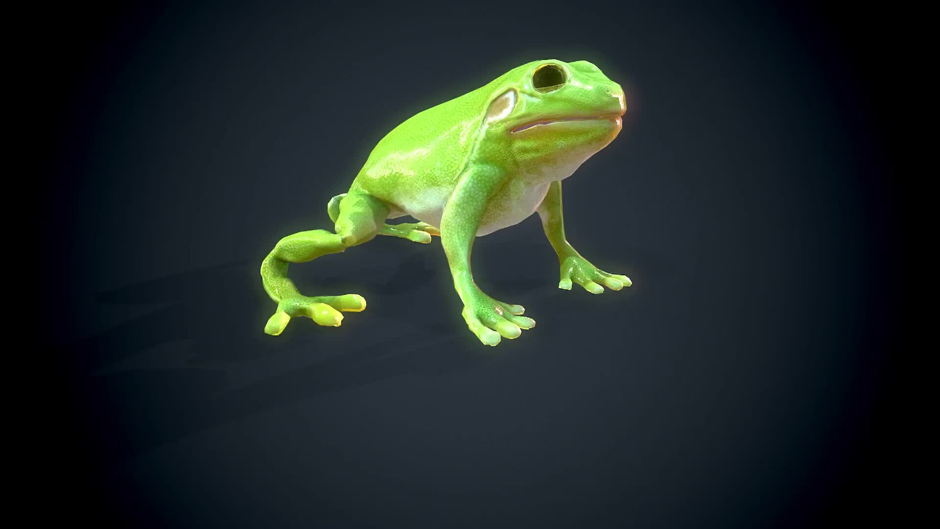 ArtStation - Green Frog