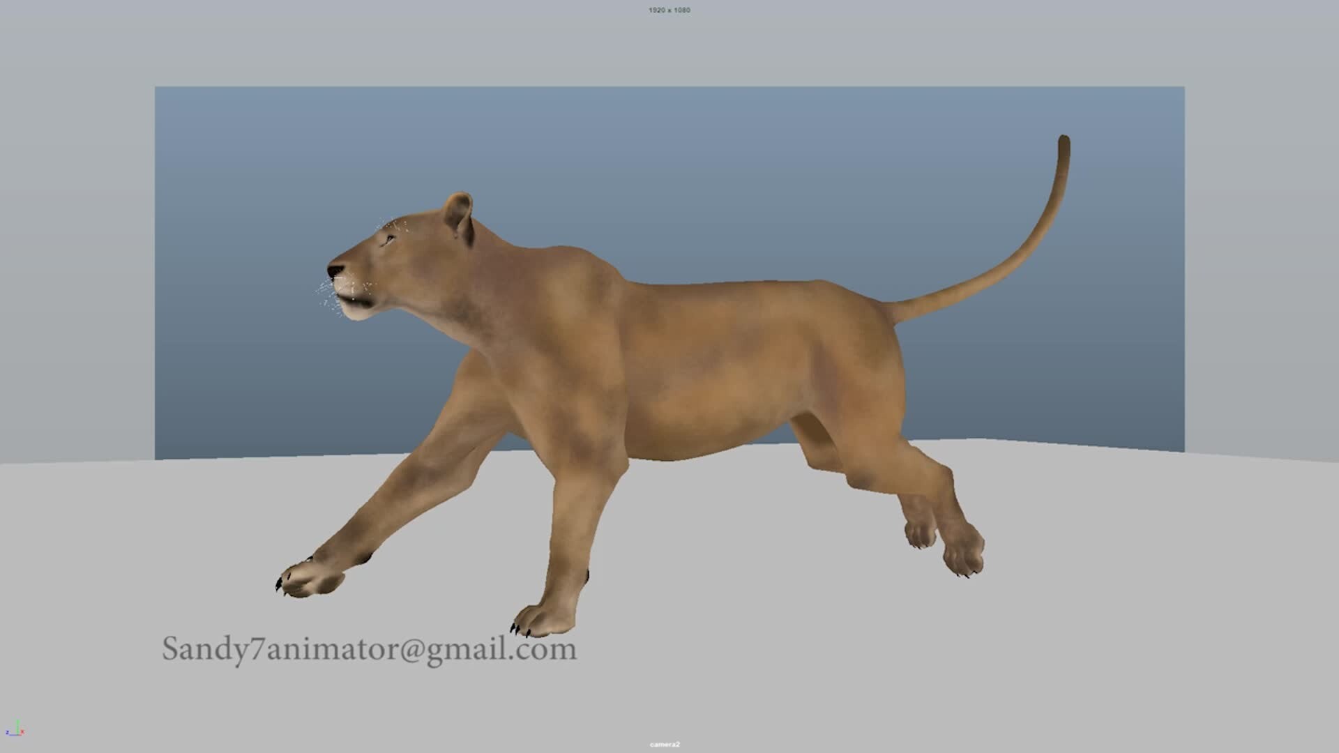 ArtStation - LION RUNCYCLE ANIMATION