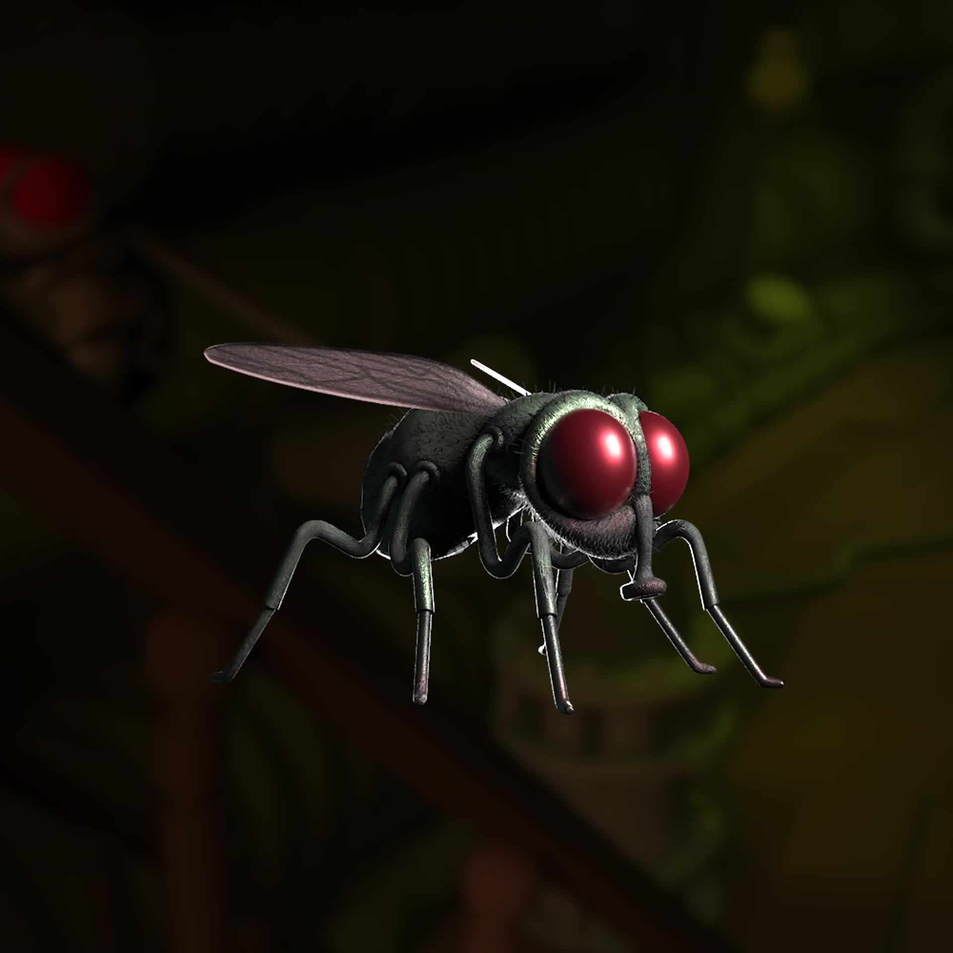 ArtStation - Blow Fly