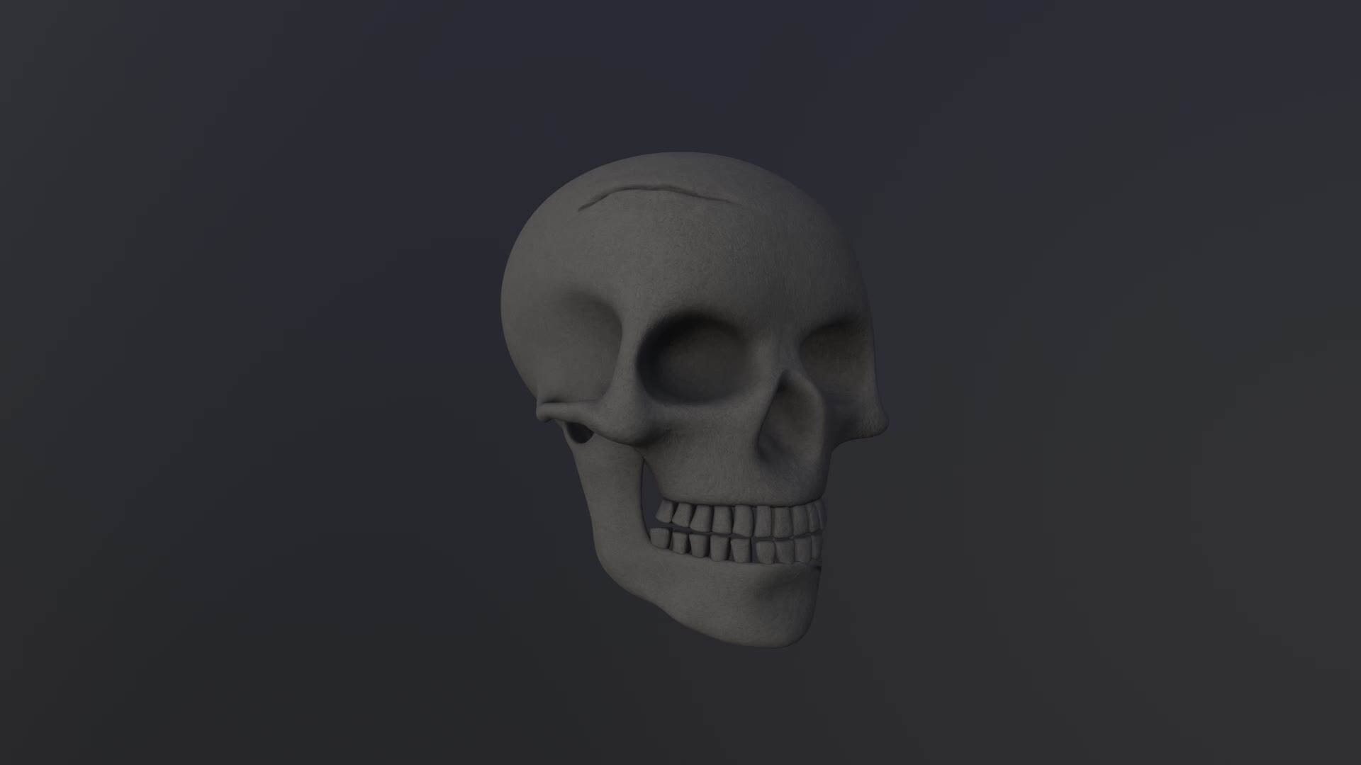 ArtStation - Human Skull