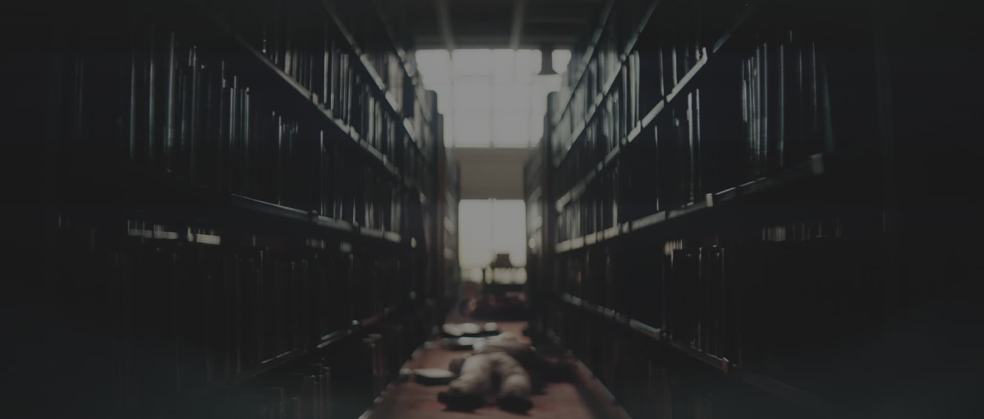 ArtStation - Y: The Last Man - Compositing work