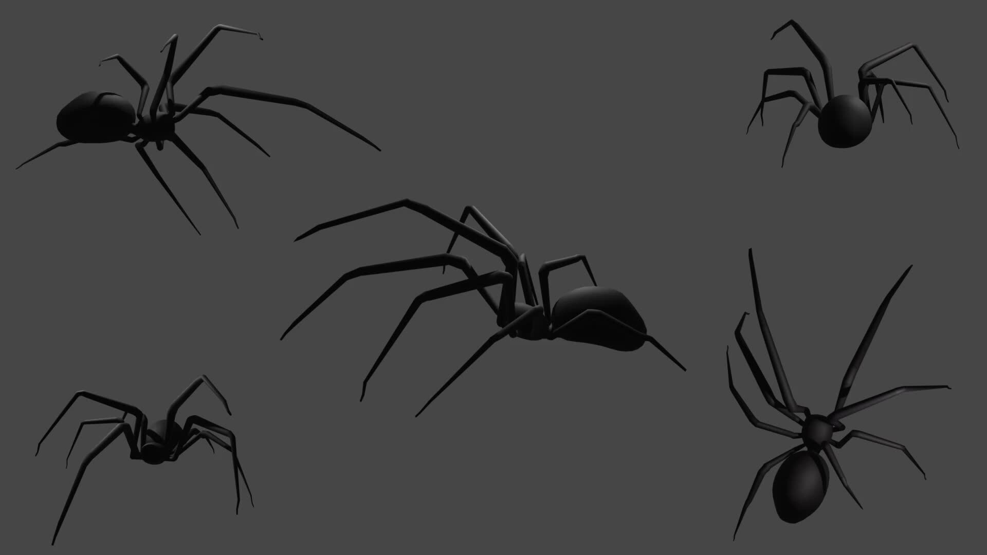 ArtStation - Spider Animation from beginning