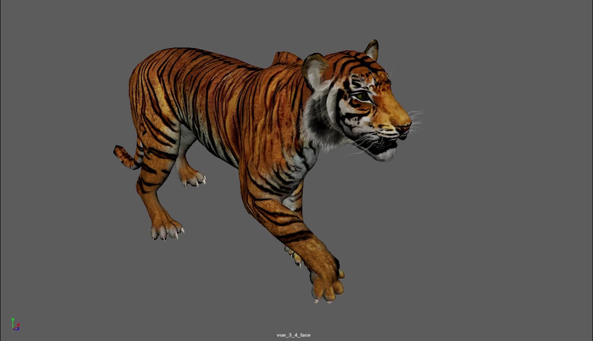 ArtStation - Walk cycle tiger