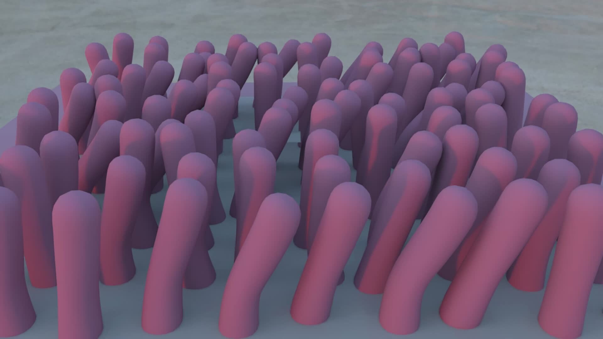 ArtStation - Villi Anatomy Animation