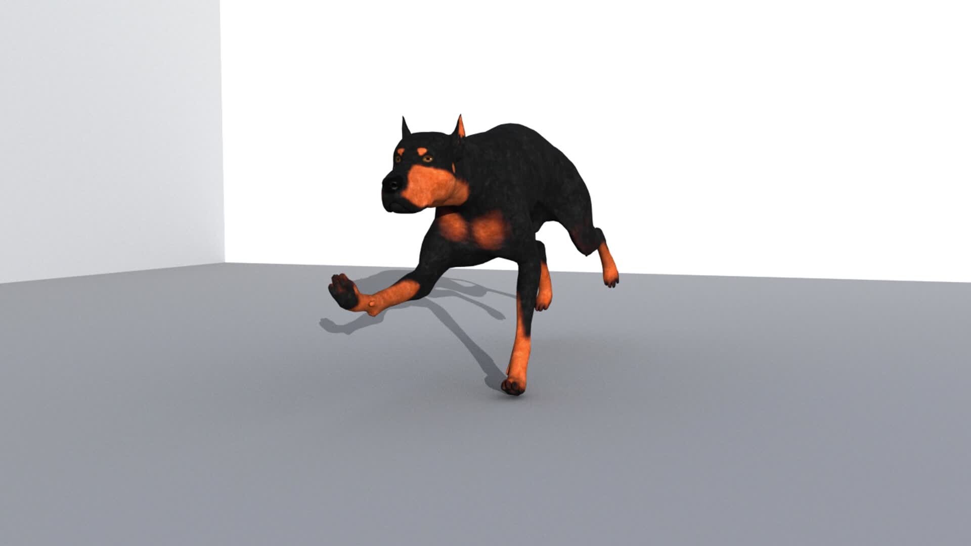 ArtStation - Dog Run Cycle